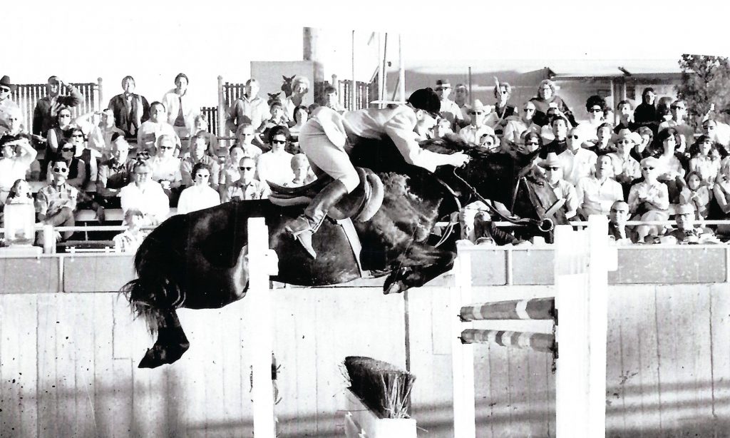 A Remarkable True Story – Wonder Horse